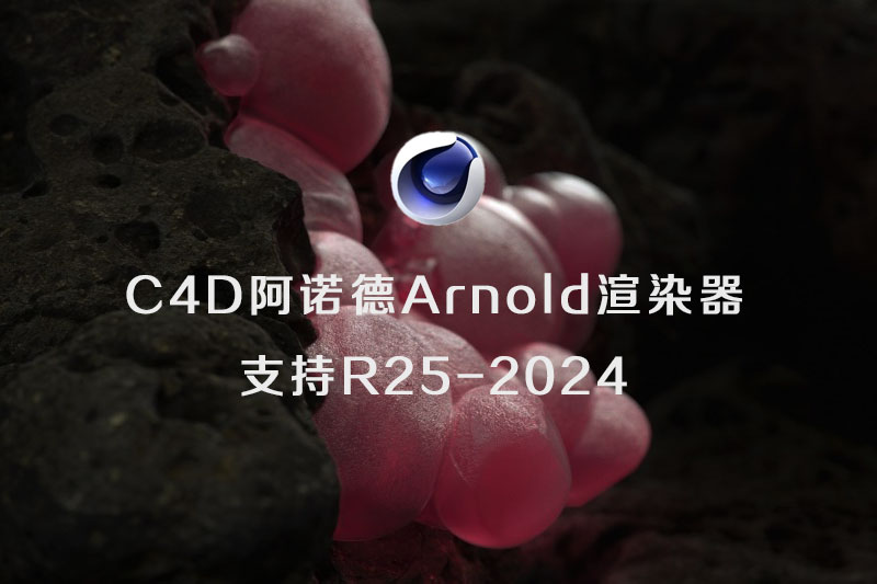 C4D渲染器-阿诺德Arnold渲染器Arnold 4.6.4 支持R25-2024_源酷素材网